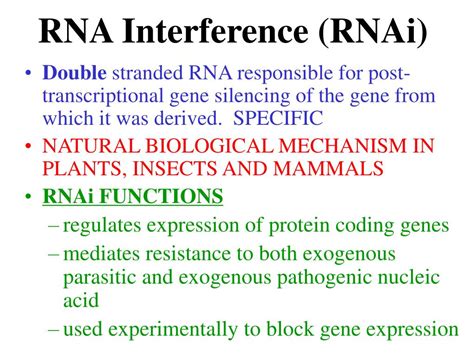 Image result for RNA Interference
