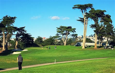 Image result for TPC Harding Park Golf Course