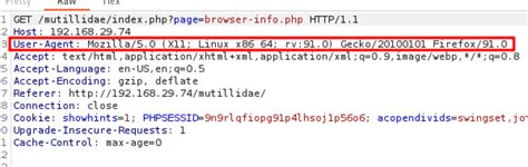Image result for HTML Injection CWE