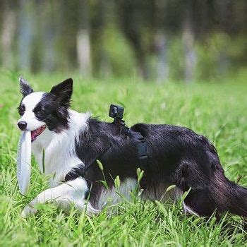 Image result for Mini Action Camera