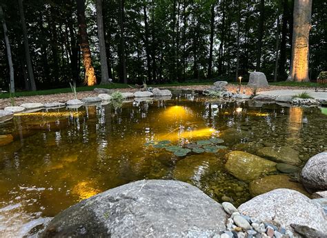 Image result for Large Pond Algae Control