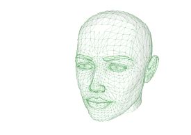 Image result for 3D Human Vector On a Computer