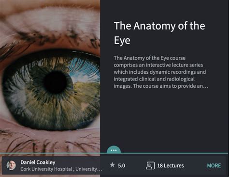 Image result for Eye Anatomy Function