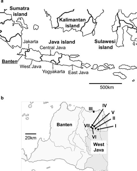 Image result for Java and Sumatra Islands