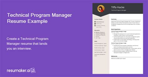 Image result for Technical Program Manager Vision Examples