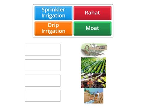 Image result for Irrigation Types