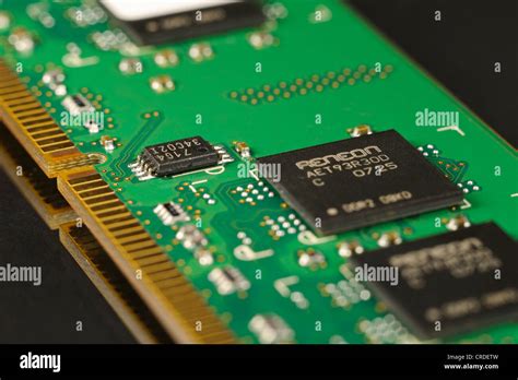 Image result for Memory Module