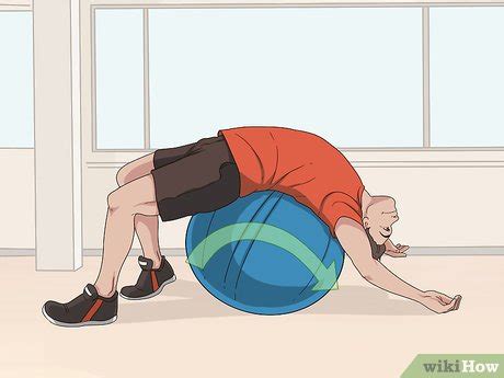 Image result for Exercise Ball Lower Back Exercises