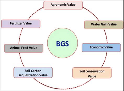 Image result for BGS Dataset