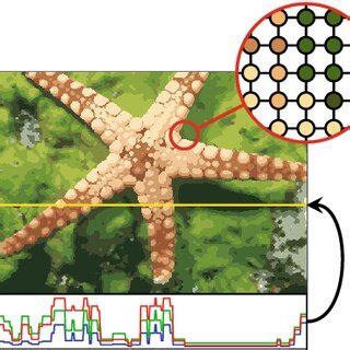 Image result for Graph Labeling