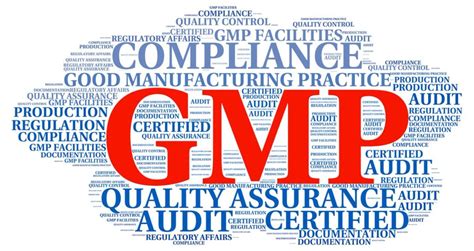 Image result for GMP Manufacturing Process