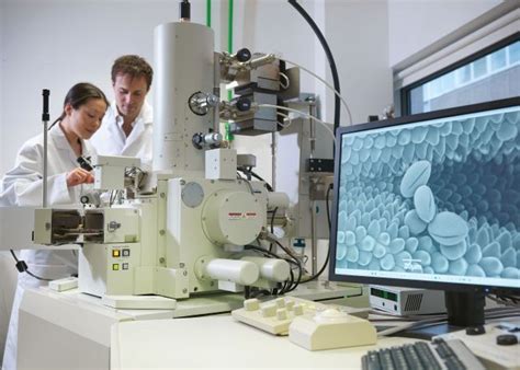 Image result for Most Powerful Microscope