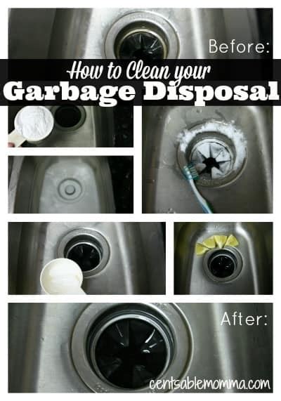 Image result for Garbage Disposal Clean Out
