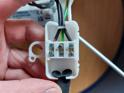 Image result for Installing a Ceiling Rose