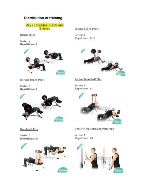GYM Exercise Routine | PDF | Physical Fitness | Strength Training
