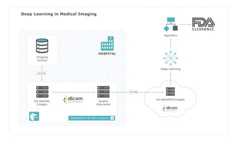 Image result for Image Processing Algorithm for DICOM Images