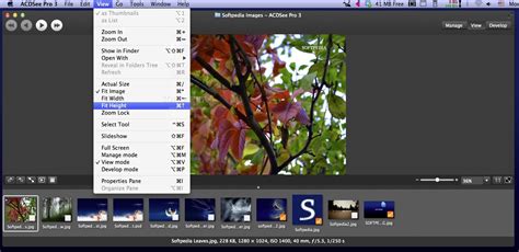 Image result for ACDSee Pro 3 Tutorial