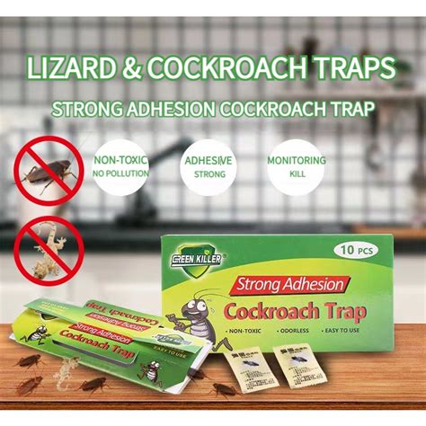 Image result for Cockroach Lizard Trap
