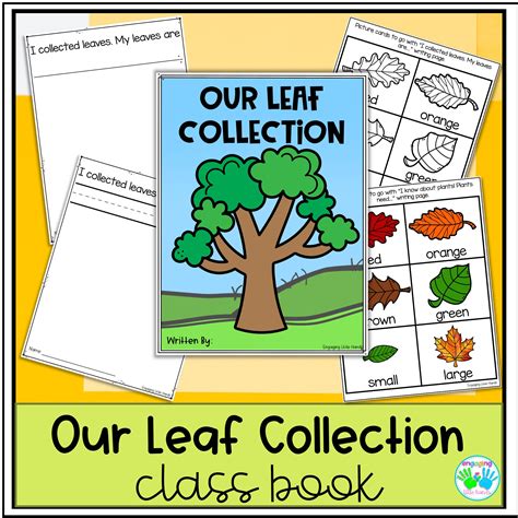 Image result for Class Four Spring Book