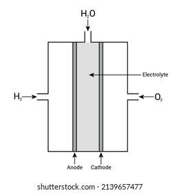Image result for H2O2 Fuel Cell