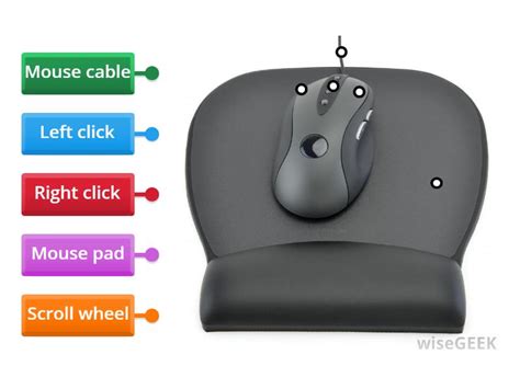 Image result for Computer Mouse Reference