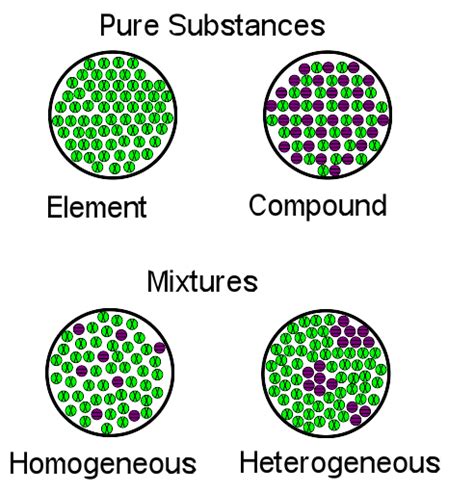 Biology: Homogeneous vs. Heterogeneous Mixtures - Expii