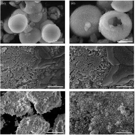 Image result for PD ZrO2