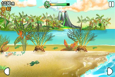 Image result for Turtle Trek