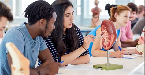 Image result for Doctor Study