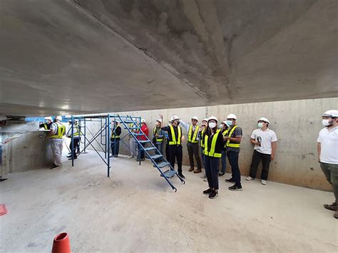 Image result for Sructural Test Procedure