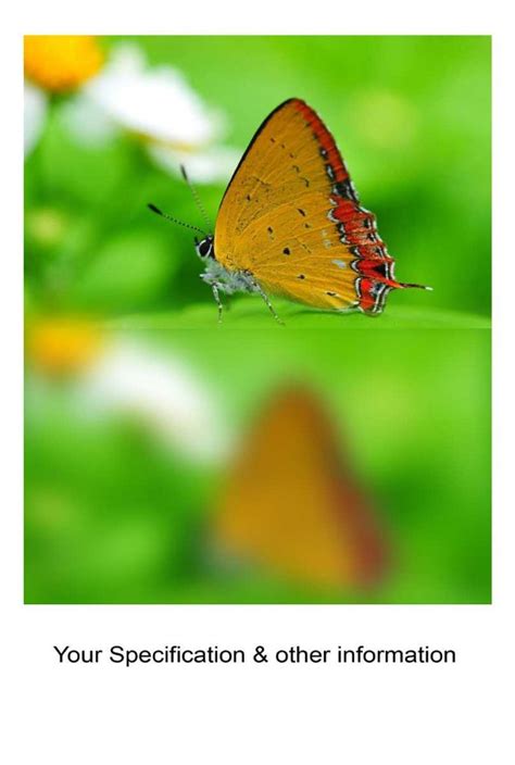 Image result for Note A4