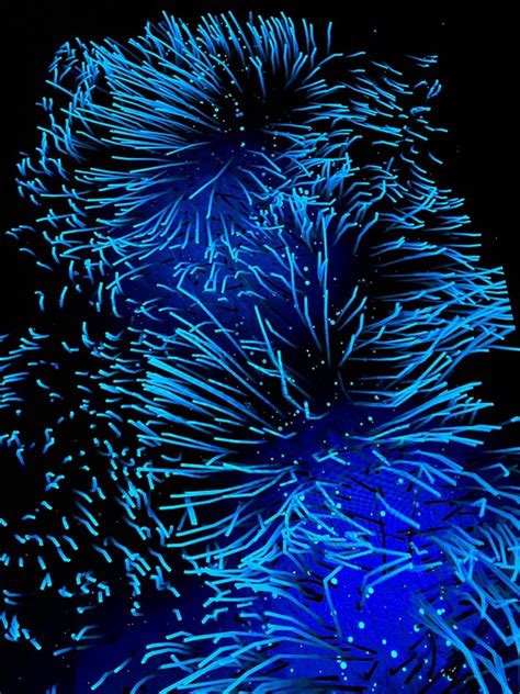 Image result for Computer Blue