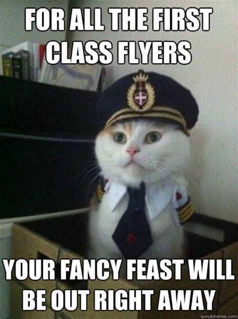 Image result for Flying First Class Song Meme