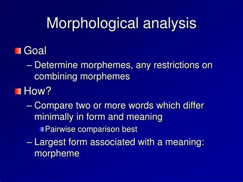 Image result for Morphological System Examples