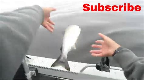 Image result for Fish Fail