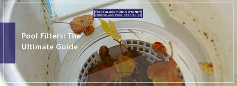 Image result for Pool Filters Explained