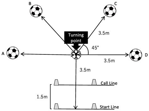 Image result for Softball Positions Explained