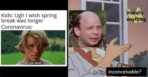 Image result for Princess Bride Birthday Meme Inconceivable