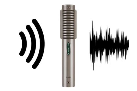 Image result for Real-Ear Measure Control Microphone