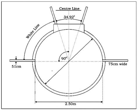 Image result for Discus Throw Pitch