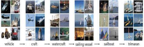 Image result for Image Net Dataset Image Examples