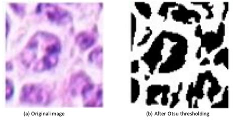 Image result for Otsu Thresholding Example