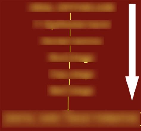 Image result for Tooth Development Video