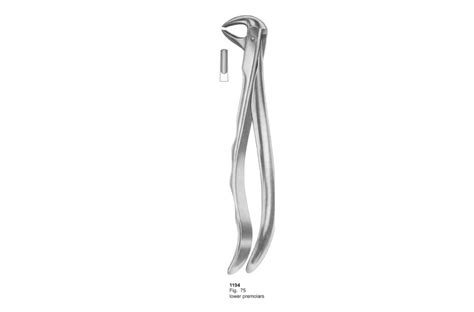 Image result for Extracting Forceps