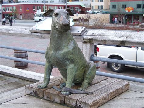 Image result for Patsy Ann