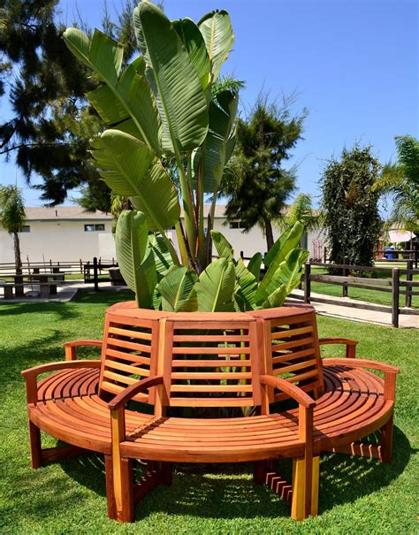 Image result for Tree Bench