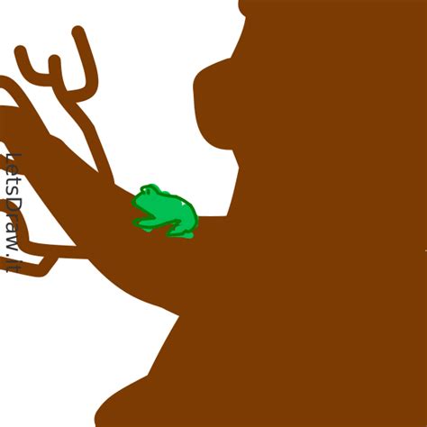 Image result for How to Draw a Tree Frog