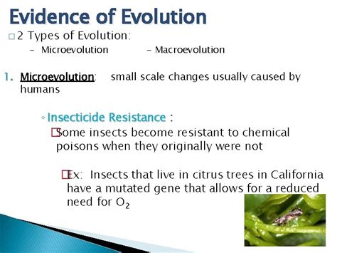 Evidence of Evolution 2 Types of Evolution Microevolution