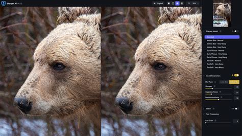 Image result for Topaz Labs Sharpen AI Tutorial