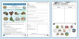 Image result for Structures Worksheet Grade 3